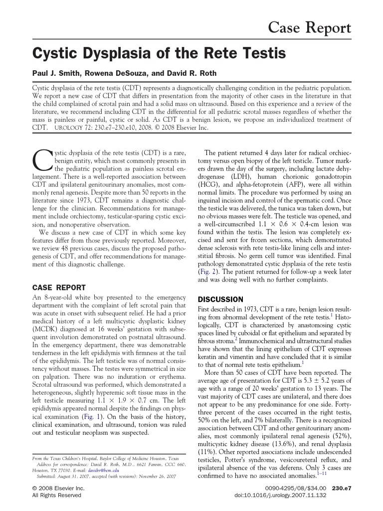 Cystic Dyplasia Of Rete Testis Pdf Neoplasms Biopsy