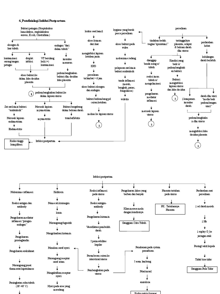Patofisiologi Infeksi Postpartum | PDF