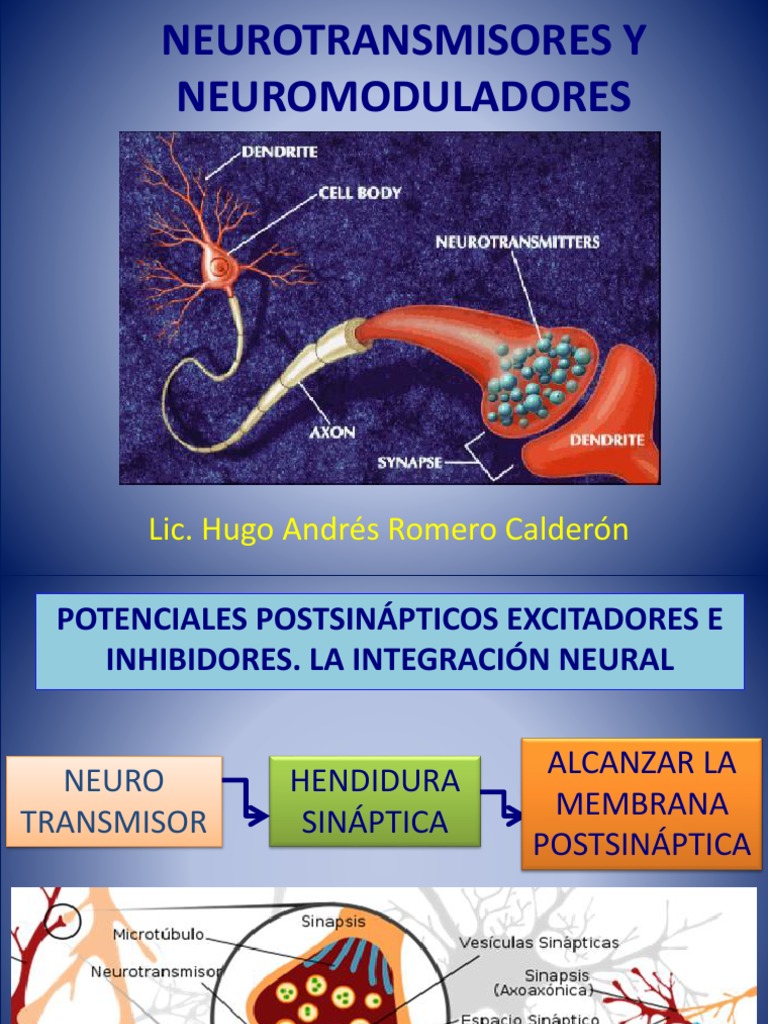 4- Neurotransmisores y Neuromoduladores