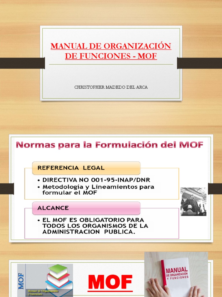 Manual de Organización de Funciones - Mof: Christopher Madedo Del Arca | PDF | Regulación | Gobierno