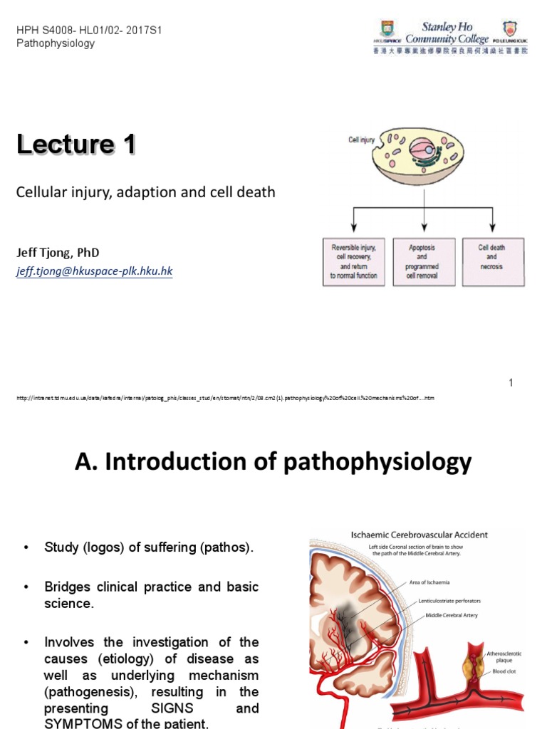 Pathophysiology for Medical Students | PDF | Apoptosis | Necrosis