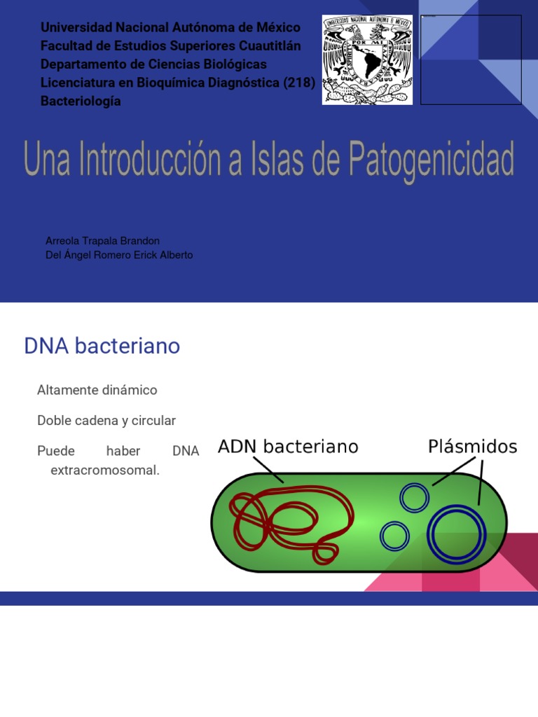 Islas de Patogenicidad Introducciòn 2601 2017-II | PDF | Las bacterias ...