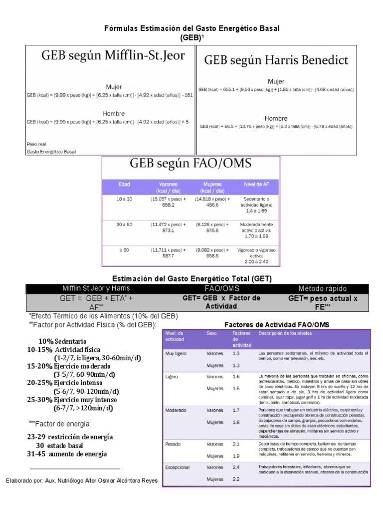 Fórmulas para Calcular GEB y GET | PDF