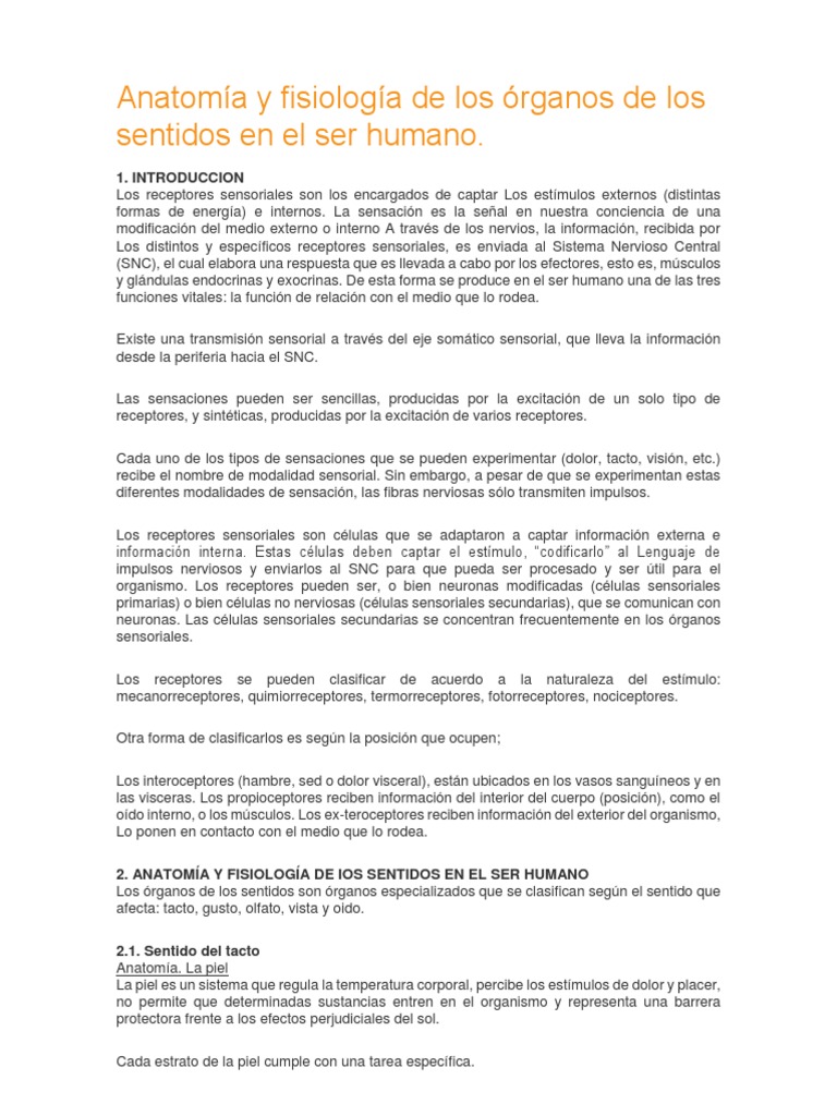 Anatomía y Fisiología de Los Órganos de Los Sentidos en El Ser Humano ...