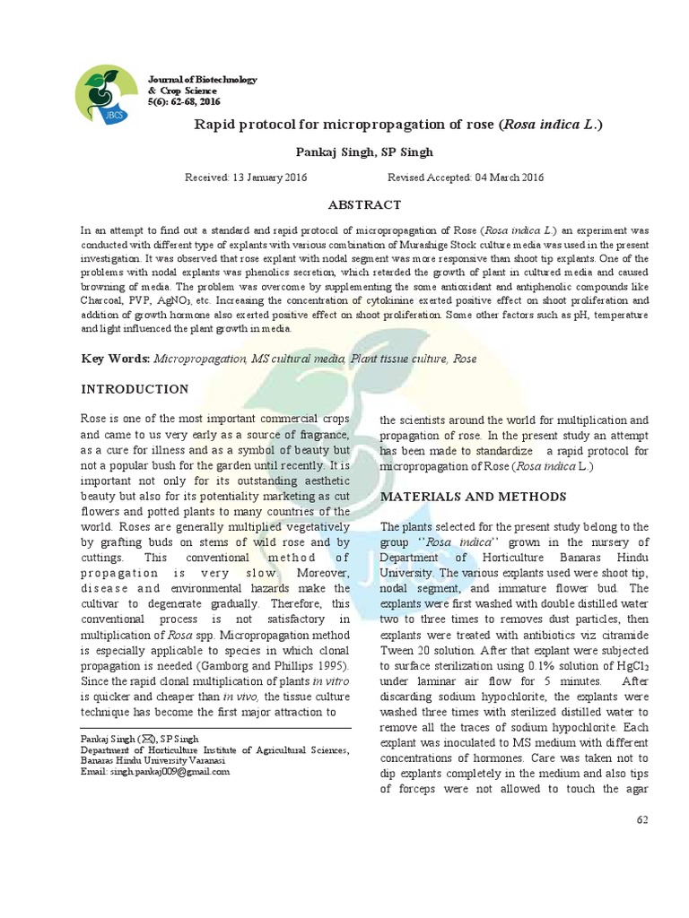 Rapid Protocol For Micropropagation of Rose (Rosa Indica L.) | PDF ...