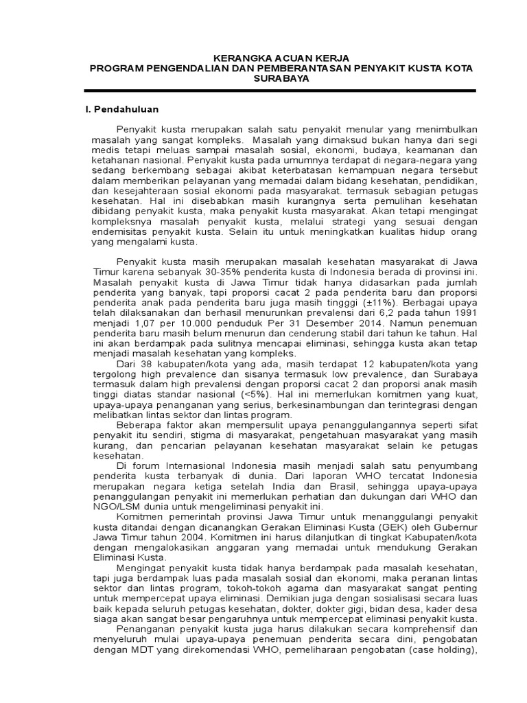 Kerangka Acuan Kerja Program Kusta | PDF