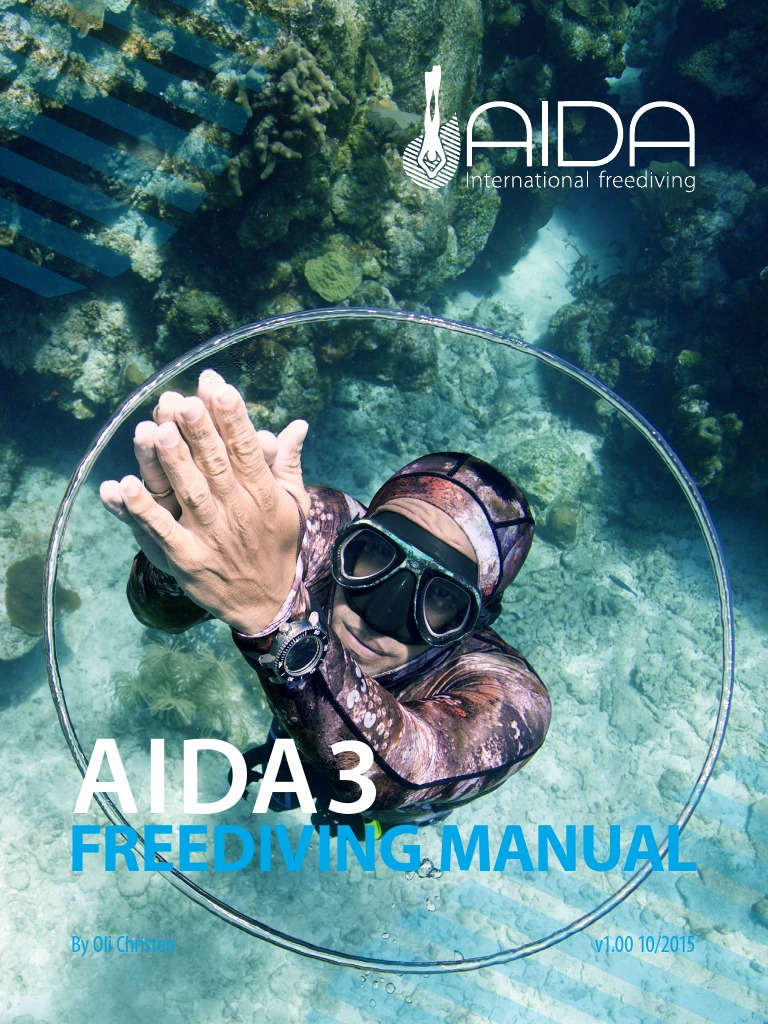 AIDA3 Manual | PDF | Blood | Circulatory System