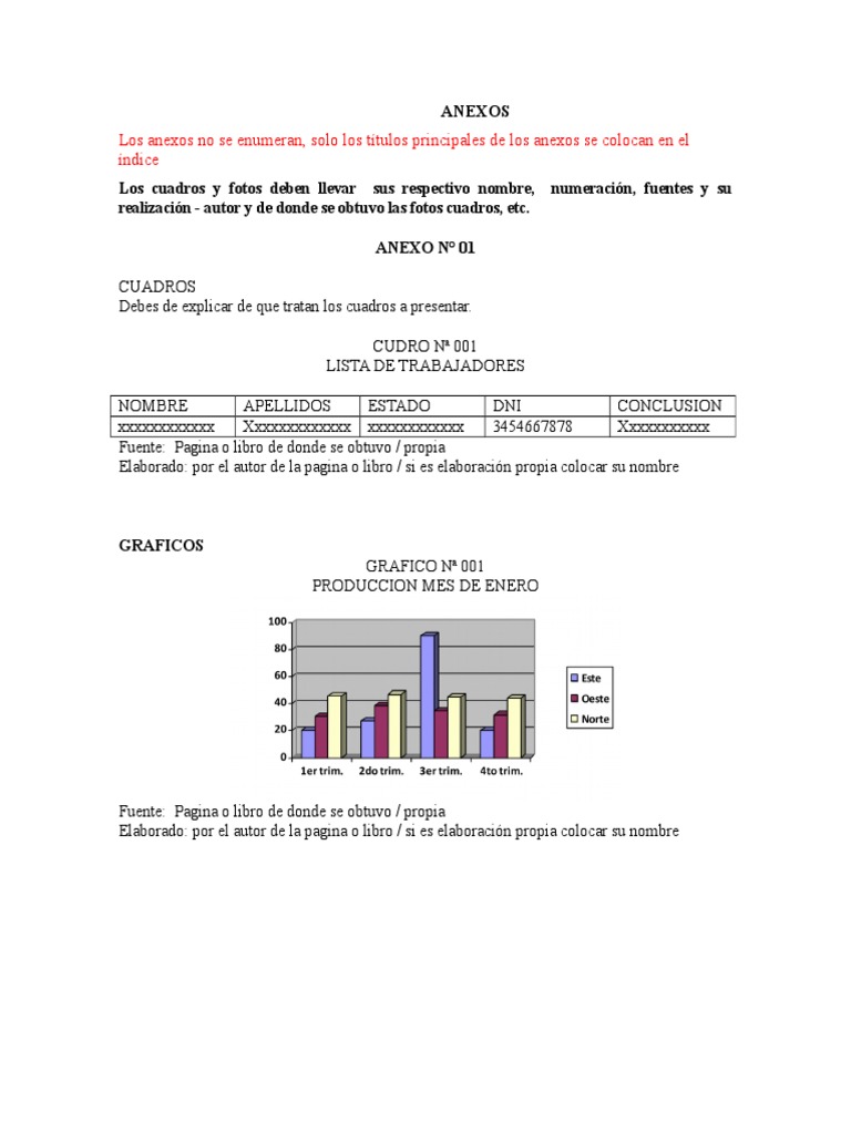 Anexos de Estructura de Informe | PDF