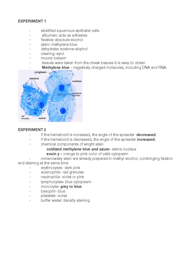 Experiment 1 | PDF | Staining | Cell Biology