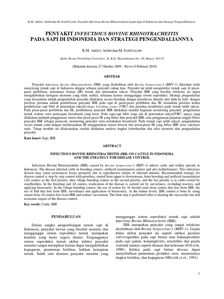 Penyakit Infectious Bovine Rhinotracheitis Pada Sapi Di Indonesia Dan ...