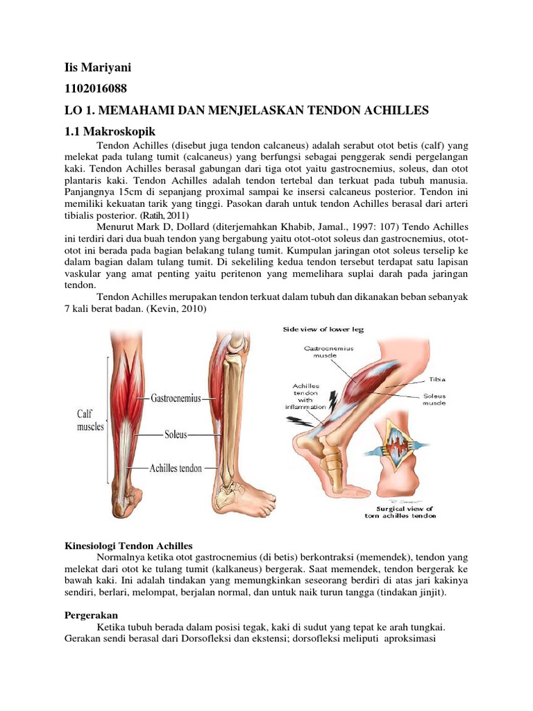 MUSKULO | PDF | Sains & Matematika