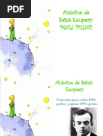 Mali Princ-Lektira | PDF