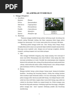 Guideline Terapi ISPA | PDF