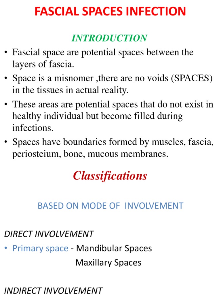 Facial Spaces | Medicine | Health Sciences | Free 30-day Trial | Scribd