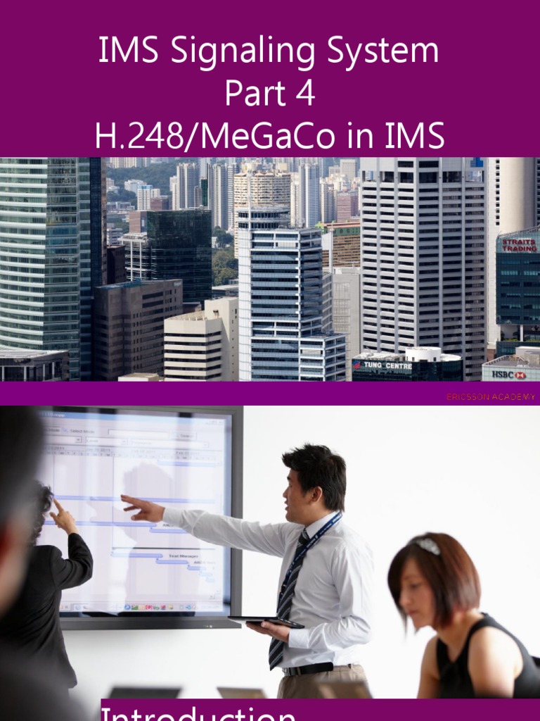 IMS Signaling System Part 4 H.248 Megaco | PDF | Osi Protocols | Communications Protocols