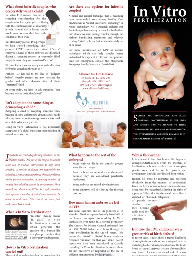 In Vitro Brochure | PDF | In Vitro Fertilisation | Infertility