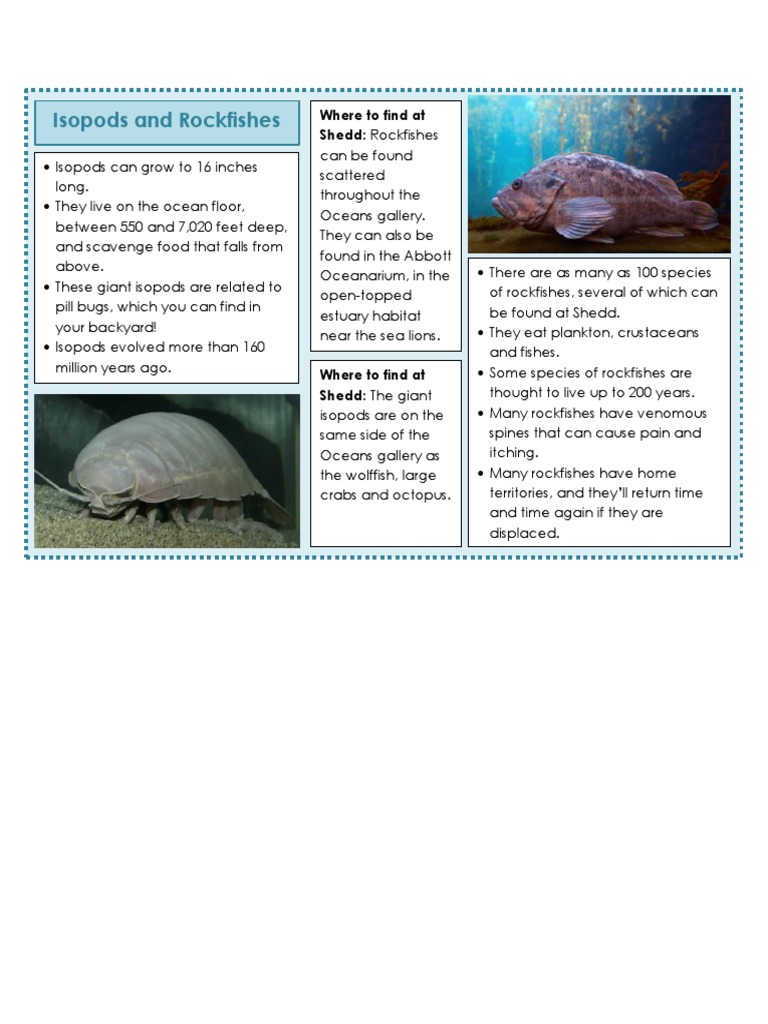 Oceans PDF Final | PDF | Social Science