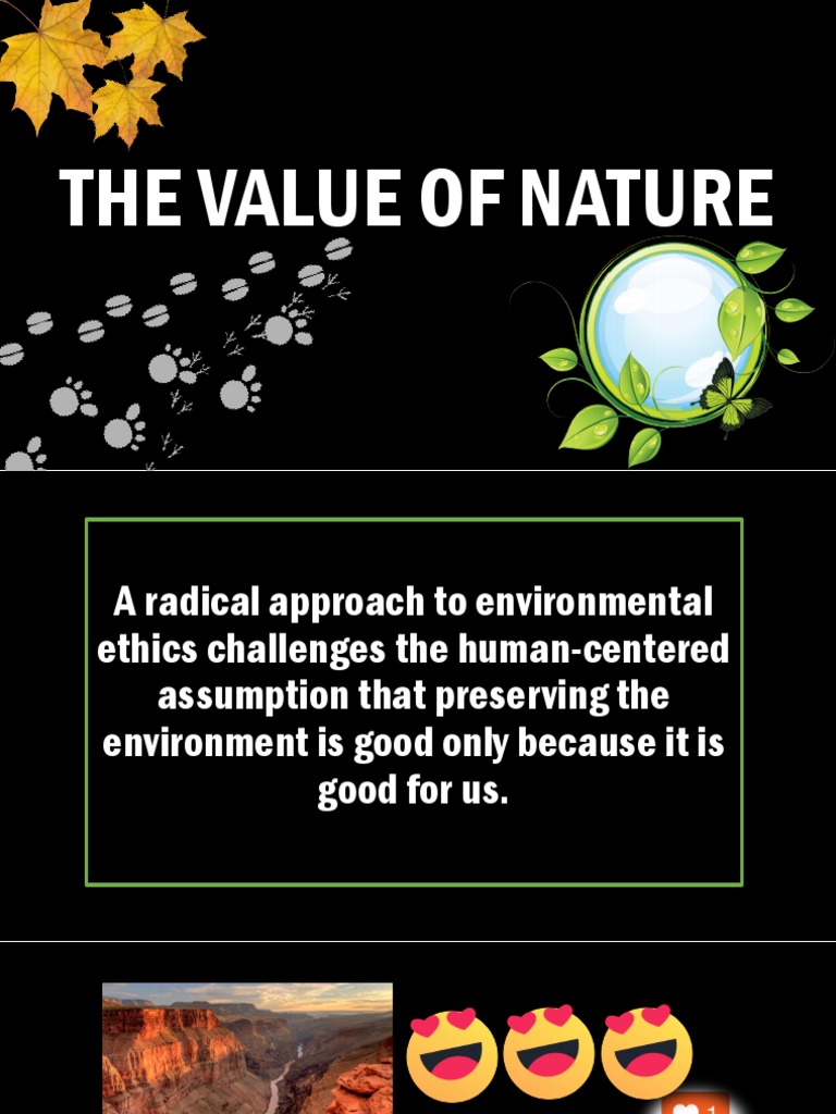 The Value of Nature | PDF