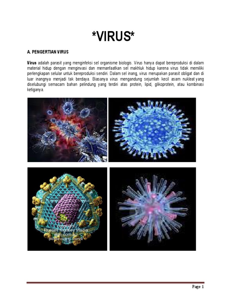 Pengertian Virus | PDF