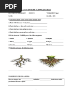 Class 3 EVS Worksheets | PDF | Leaf | Plants