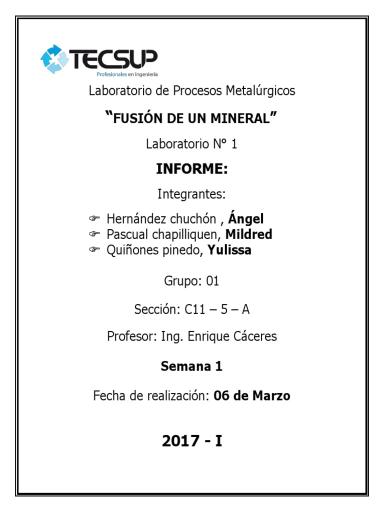 Laboratorio de Procesos Metalúrgicos N°1 | PDF | Fundición | Cobre