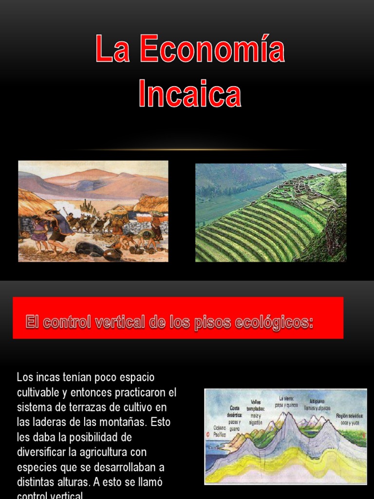 La Economia Inca | PDF | Imperio Inca | Agricultura