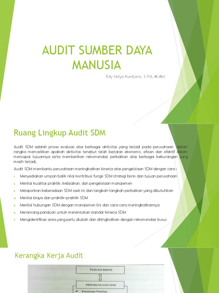 Contoh Audit SDM untuk Perusahaan | PDF