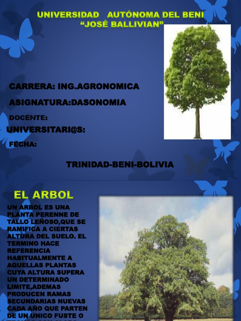 Expo Dasonomia | PDF | Ladrar | Tallo de la planta