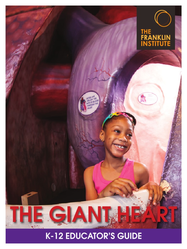 Exploring the Human Heart: A Guide to The Giant Heart Exhibit at The ...