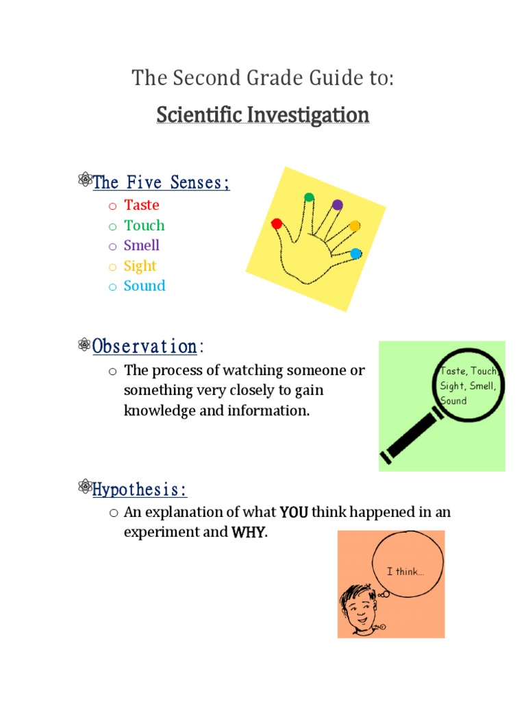 Scientific Investigation | PDF