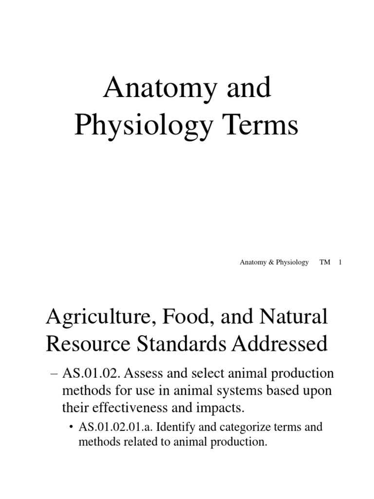 23 Anatomy Physiology Terms | PDF | Anatomical Terms Of Location ...