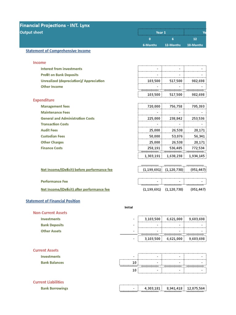 Blank Financial Model | PDF | Government Budget Balance | Investing