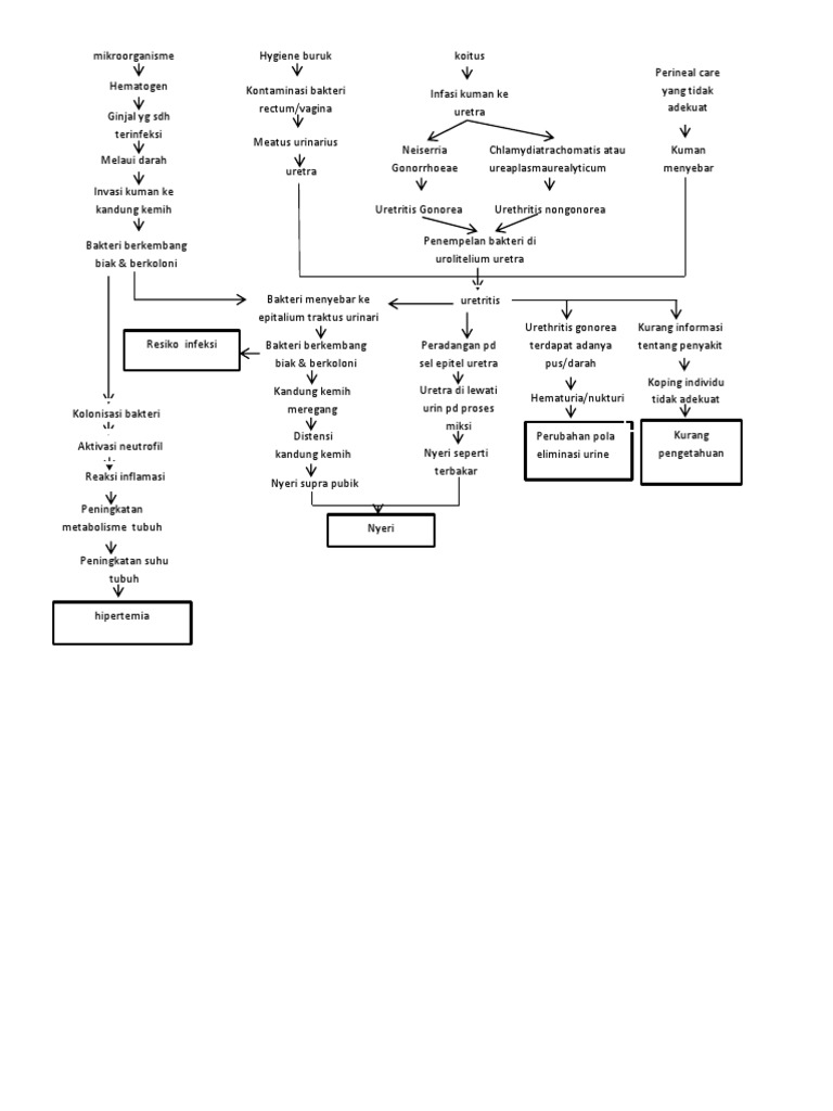 Pathway Uretritis | PDF