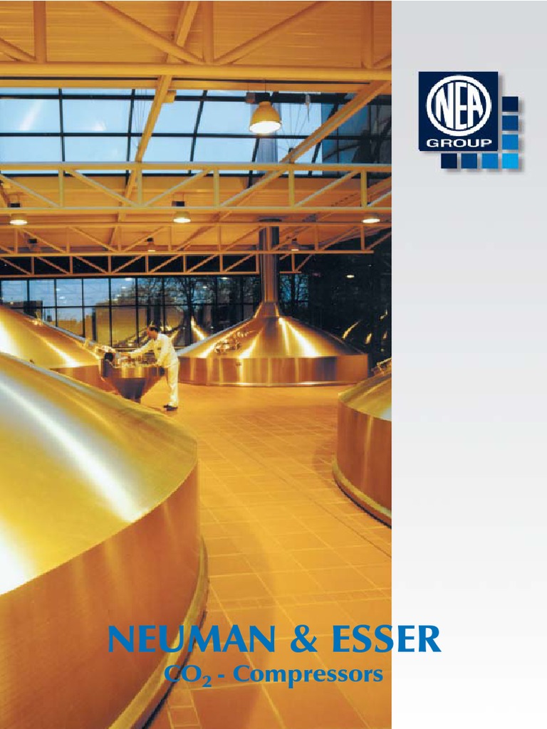 Neuman & Esser: CO - Compressors | PDF | Piston | Carbon Dioxide