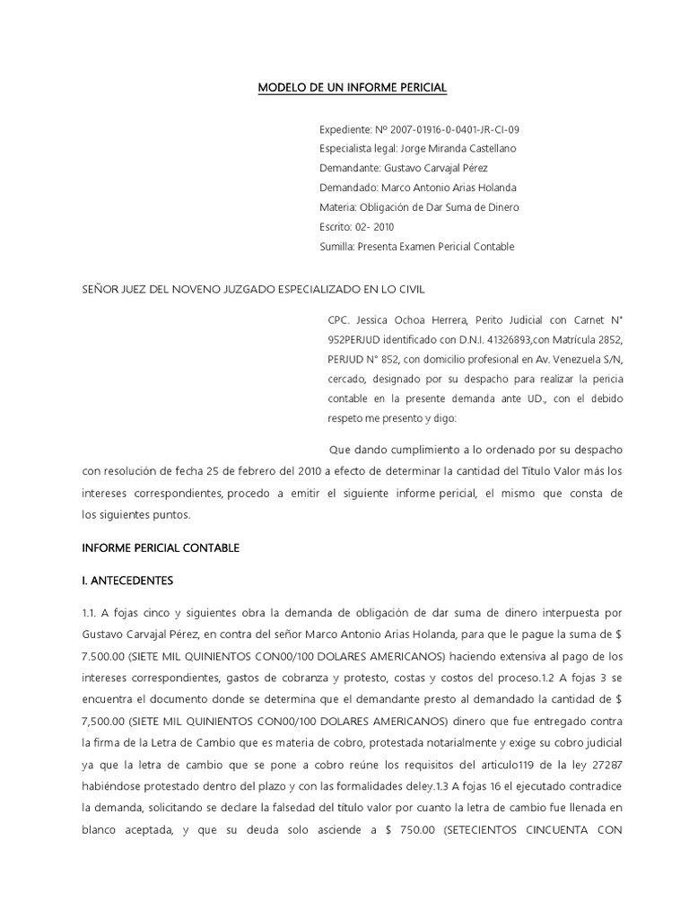 Ejemplo Informe Pericial Pdf Pagaré Pagos