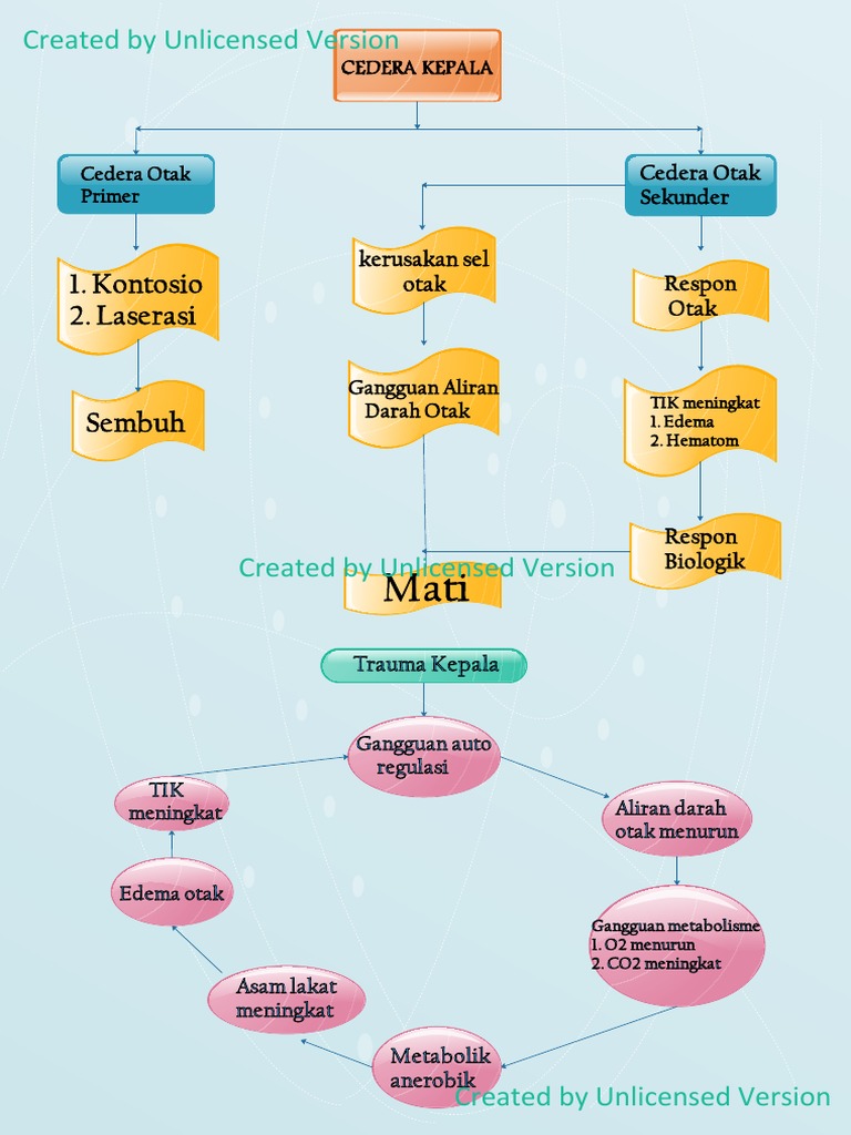 Patoflowgram CKB | PDF