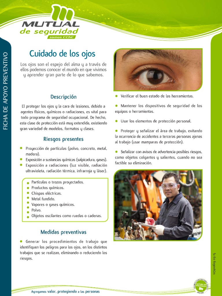 Cuidado de Los Ojos PDF | PDF