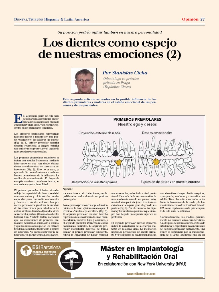 Los Dientes Como Espejos de Nuestras Emociones | PDF | Diente | Ortodoncia
