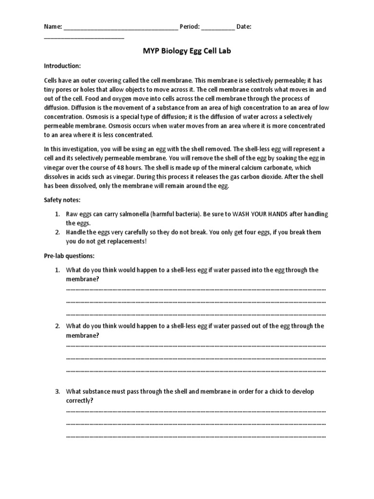 Myp Biology Egg Cell Lab | PDF | Cell Membrane | Osmosis