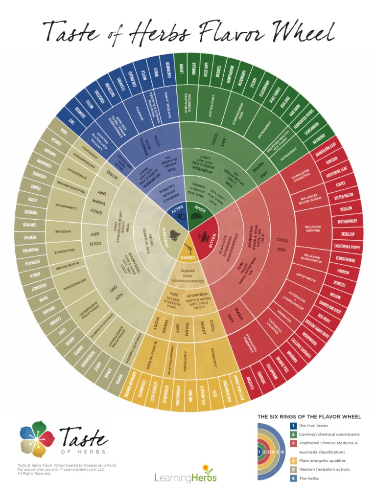 Taste of Herbs Flavor Wheel Packet | PDF | Tea | Taste