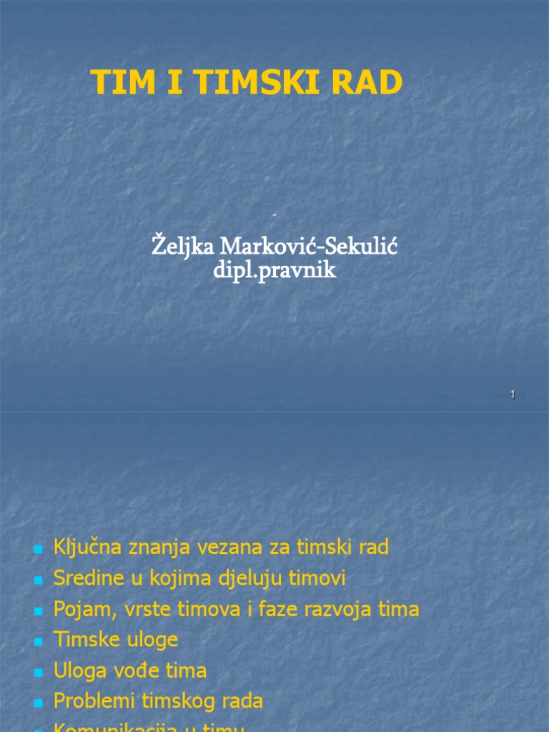 Tim I Timski Rad | PDF