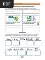 Amoeba Sisters: Alleles and Genes Recap | PDF | Genotype | Allele