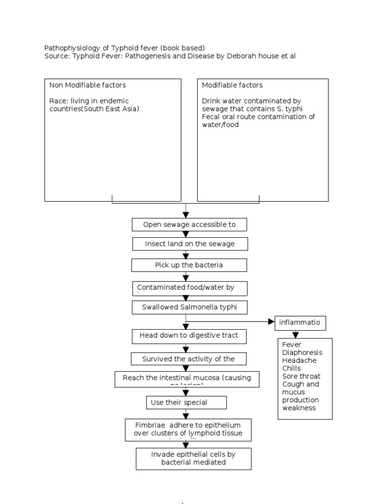 Pa Tho Physiology of Typhoid Fever Client Basedrtyytytty | PDF ...