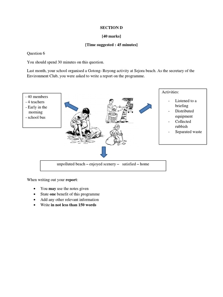 Section D Essay | PDF