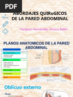 Incisión Rocky Davis | PDF | Medicina CLINICA | Anatomía