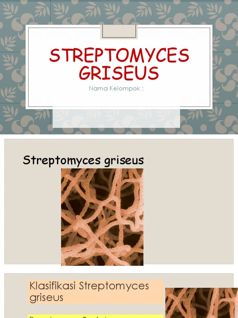 Streptomyces Griseus | PDF