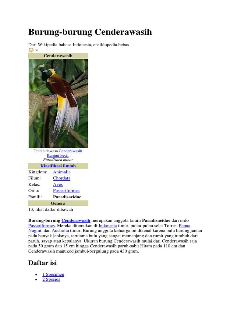 Burung Cendrawasih Hidup