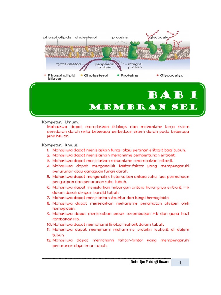 Belajar Fiswan-Full Isi | PDF