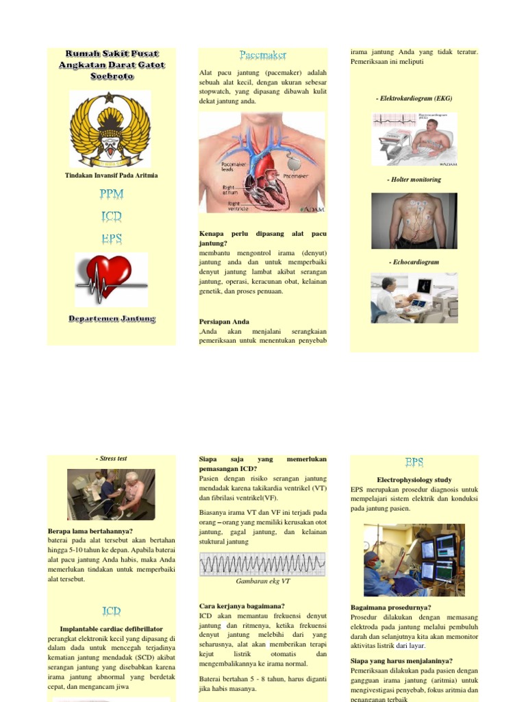 Leaflet PPM Icd | PDF