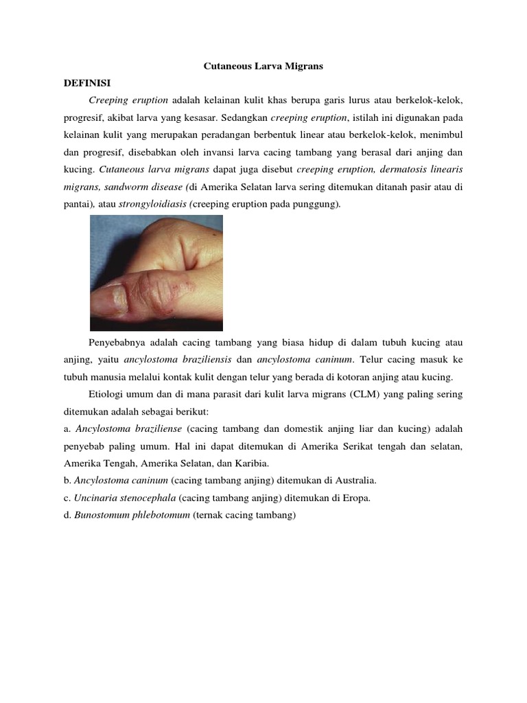 Cutaneous Larva Migrans | PDF